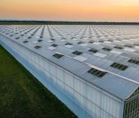 China Origin Eco Greenhouse for Tomato/Capsicum/Cucumber Steel Structure and Shipping Cost for sale