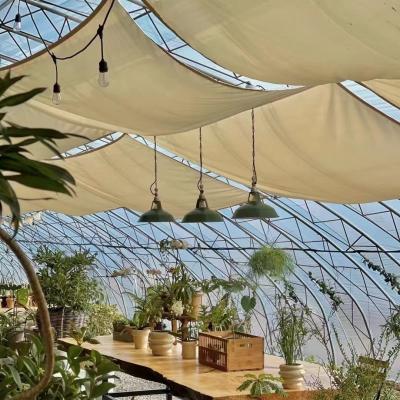 China Chinese Origin Single-Span Arches Greenhouse US Currency for Commercial Applications for sale