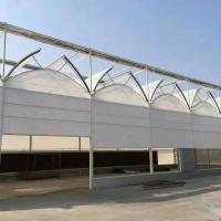China Tomato/Strawberry/Lettuce Multi-Span Commercial Greenhouse with Plastic Film Cover for sale