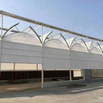 China Tomato/Strawberry/Lettuce Multi-Span Commercial Greenhouse with Plastic Film Cover for sale
