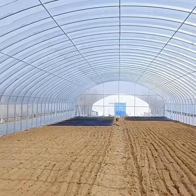 China 50.00cm * 60.00cm * 50.00cm Package Size for Tunnel Greenhouse Hydroponic System for sale