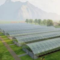 China Full Payment Commercial Greenhouse for Tomatoes and Strawberries in Water Pipe Tunnel for sale