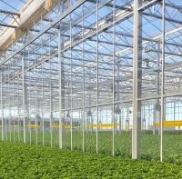 China Commercial Greenhouse Double Arch Beam Greenhouses with Snow Vibrator in US Currency for sale