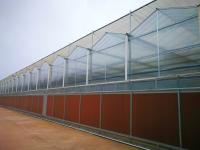 China Commercial Greenhouse PE Film Plastic Agriculture Greenhouse for USA/Canada/Australia for sale