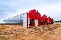 China Roofing Shape Arched Roof Eco Greenhouse for Vegetables/Grow Saplings Hot Water Heating for sale