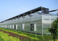 China Roofing Shape Arched Roof Eco Greenhouse for Vegetables/Grow Saplings Hot Water Heating for sale