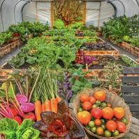 China All-Season Farming Made Easy with Large Tunnel Greenhouse Kit and Film Cover for sale