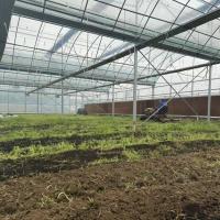 China Steel Structure Agricultural Multi Span Greenhouse Hydroponics with Easy Installation for sale