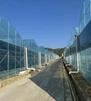 China Multi-Span Film Greenhouse for Vertical Farming Package Size 50.00cm * 60.00cm * 50.00cm for sale