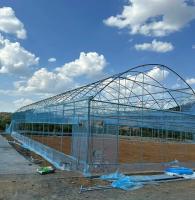 China Multi-Span Film Greenhouse for Vertical Farming Package Size 50.00cm * 60.00cm * 50.00cm for sale