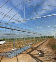 China Multi-Span Film Greenhouse for Vertical Farming Package Size 50.00cm * 60.00cm * 50.00cm for sale