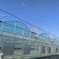 China US Currency Multi-Span Film Agricultural Greenhouse for Large Scale Farming/Cultivation for sale