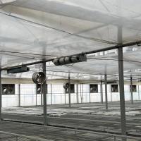China US Currency Multi-Span Film Agricultural Greenhouse for Large Scale Farming/Cultivation for sale