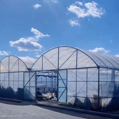China Multi Span Greenhouse Hydroponic Vegetable Growing System for Steel Structure 20.000kg for sale