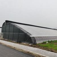 China Sunlight Greenhouse for Capsicum Planting Advanced Vegetables Cultivation Method for sale