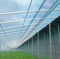 China Customized Request Origin Double Arch Beam Greenhouse for Vegetables 20GP/40GP/40HC for sale