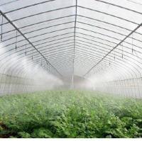 China Custom Double Arch Beam Greenhouse for Vegetables Personalized to Your Requirements for sale