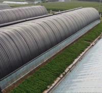 China Custom Double Arch Beam Greenhouse for Vegetables Personalized to Your Requirements for sale