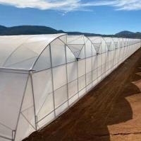 China Custom Double Arch Beam Greenhouse for Vegetables Personalized to Your Requirements for sale