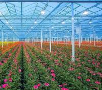 China Vegetable Cultivation Greenhouse with Snow Vibrator Return refunds within 30 Days for sale