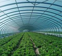 China Vegetable Cultivation Greenhouse with Snow Vibrator Return refunds within 30 Days for sale