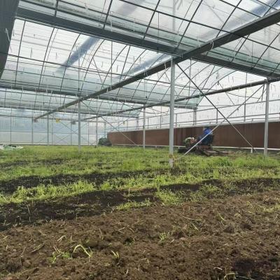 China 30 Day Return Refunds for Water Pipe Agricultural System in Commercial Greenhouses for sale