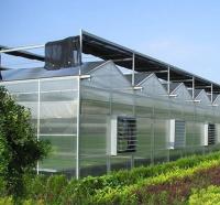 China Initial Payment Snow Vibrator Greenhouse for Agriculture Unheated Heating Method for sale