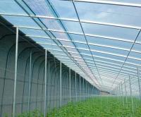 China Initial Payment Snow Vibrator Greenhouse for Agriculture Unheated Heating Method for sale