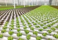 China Initial Payment Snow Vibrator Greenhouse for Agriculture Unheated Heating Method for sale