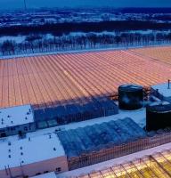 China Double Arch Beam Greenhouse for Mushroom Farming Plastic Sheet Cover Single or Multi Span for sale