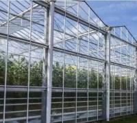 China Double Arch Beam Greenhouse for Mushroom Farming Plastic Sheet Cover Single or Multi Span for sale
