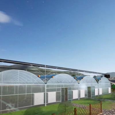 China Film Covered Hydroponic Drip Irrigation Greenhouse Kit 20.000kg Package Gross Weight for sale