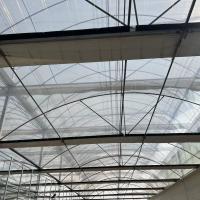 China Film Covered Hydroponic Drip Irrigation Greenhouse Kit 20.000kg Package Gross Weight for sale