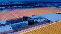 China Arched Roof Mushroom Cultivation Sunlight Greenhouse Package Gross Weight 1000.000kg for sale