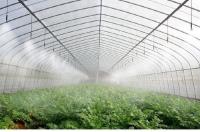 China Arched Roof Mushroom Cultivation Sunlight Greenhouse Package Gross Weight 1000.000kg for sale
