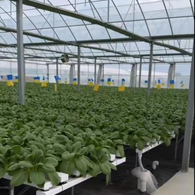 China Multi-Span Film Greenhouse for Cultivation 20.000kg Package Gross Weight Easy Returns for sale