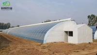 China Customized Request Double Arch Beam Greenhouse for Tomato Farming in US Currency for sale