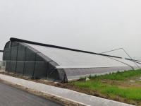 China Sunlight Greenhouse JX-h0051 Year-round Vegetable Growing in Greenhouse Snow Vibrator for sale
