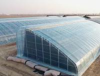 China Customization Arch Tunnel Greenhouse Sunlight Greenhouse For Capsicum Farming for sale