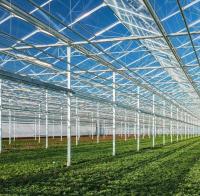 China Customization Arch Tunnel Greenhouse Sunlight Greenhouse For Capsicum Farming for sale