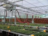 China Origin Double Arch Beam Greenhouse for Capsicum Shipping Cost and Production Greenhouse for sale