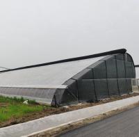 China Steel Plastic Double Arch Beam Design Greenhouse For Vegetables for sale