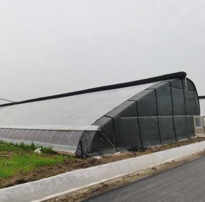 China Steel Plastic Double Arch Beam Design Greenhouse For Vegetables for sale