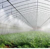 China Steel Plastic Double Arch Beam Design Greenhouse For Vegetables for sale