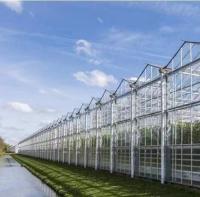 China 20GP 40GP 40HC Modern Agriculture Sunlight Greenhouse For Vegetables Planting for sale