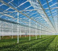 China 20GP 40GP 40HC Modern Agriculture Sunlight Greenhouse For Vegetables Planting for sale