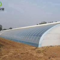 China 20GP 40GP 40HC Modern Agriculture Sunlight Greenhouse For Vegetables Planting for sale