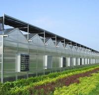China Custom Design and Double Arch Beam Greenhouse for Tomato/Cucumber Growing Large Size for sale