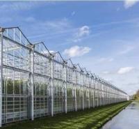China Custom Design and Double Arch Beam Greenhouse for Tomato/Cucumber Growing Large Size for sale