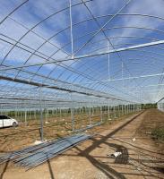 China Water Pipe Agricultural Greenhouse Solution with Film Cover and US 20/Square Meter for sale